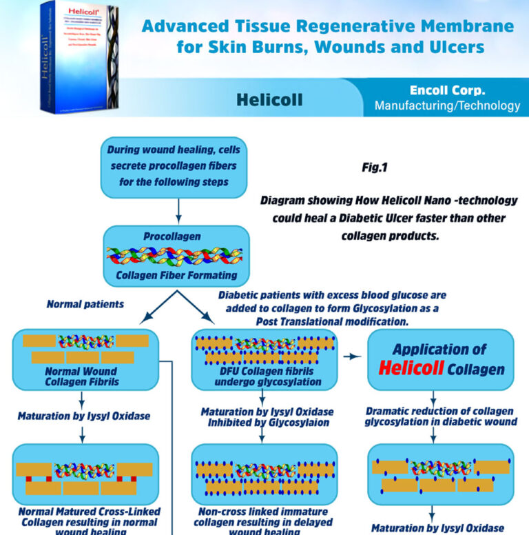 Helicoll® is a bioengineered high-purity Type-I collagen (>97% pure)